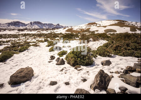 Snow covered mount teide Stock Photo - Alamy