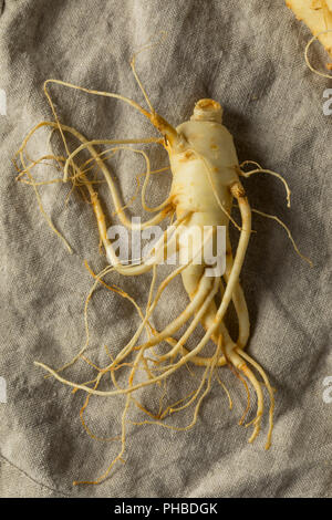 Fresh ginseng root Stock Photo - Alamy