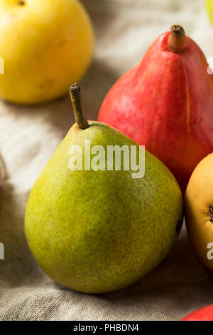 Raw Organic Assorted Pears Ready to Eat Stock Photo - Alamy
