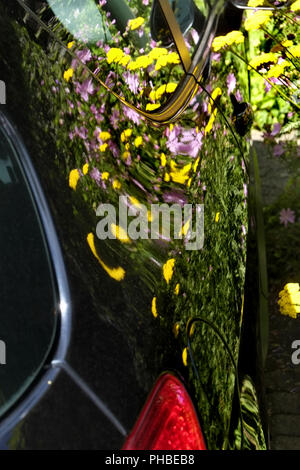 Reflection in car paint Stock Photo - Alamy
