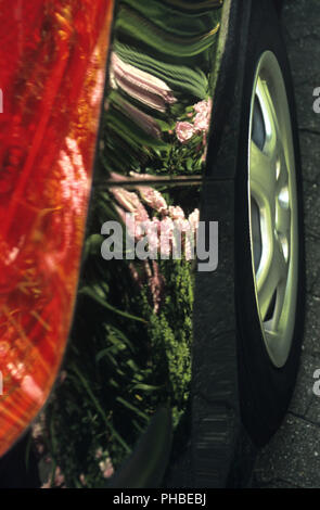 Reflections in car paint Stock Photo - Alamy
