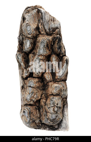 A close-up image of cedar bark, showcasing its texture and rich reddish ...