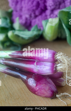 Purple spring onions Stock Photo - Alamy