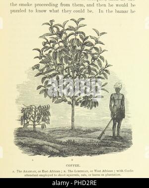 Archive image from page 129 of Dictionnaire de physiologie (1904 Stock ...