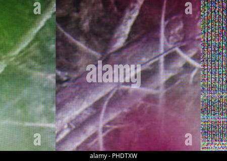 Abstract background of a digital glitch Stock Photo - Alamy