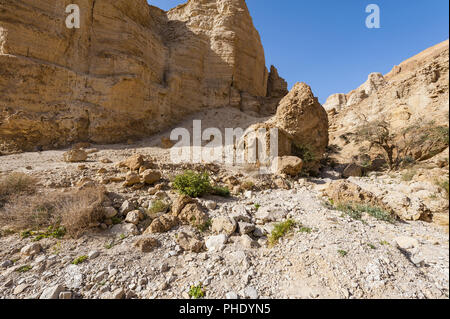 Stone desert in Israel Stock Photo - Alamy