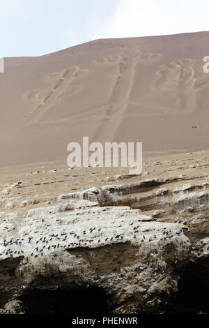 Ancient large-scale geoglyph Candelabrum figure in Paracas national ...