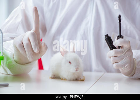 White rabbit in scientific lab experiment Stock Photo - Alamy