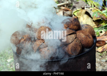 coconut shells are processed on the roadside to charcoal Stock Photo ...