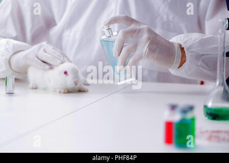 The white rabbit in scientific lab experiment Stock Photo - Alamy