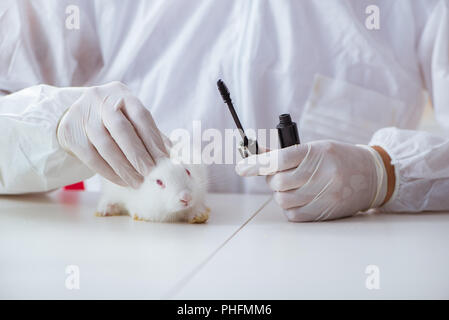 White rabbit in scientific lab experiment Stock Photo - Alamy