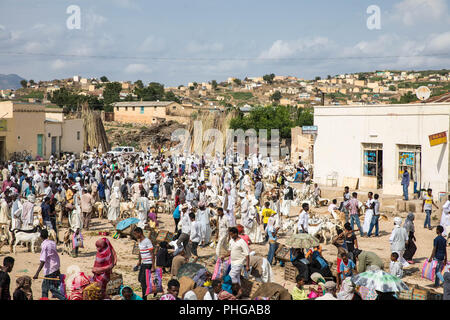 Members of Eritrea's Tigrayan, Bilen, and Tigre tribes congregate along ...