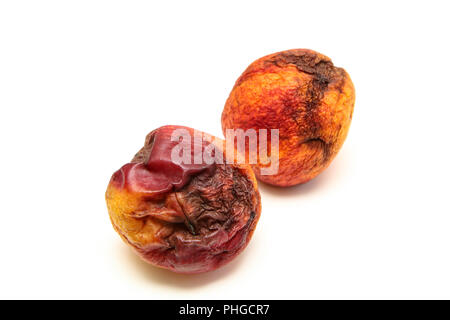 A picture of two rotten nectarines. The shape is deformed and they are ...