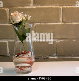 a rose in a vase with seashells Stock Photo - Alamy