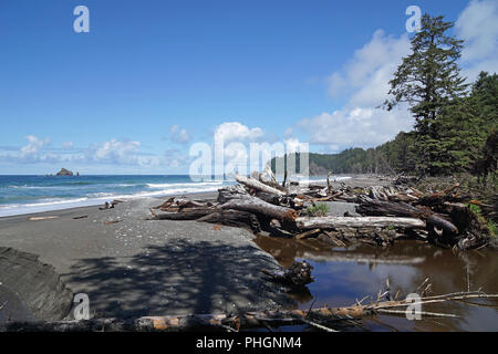 Pacific coast at Rialto Beach, Olympic National Park, Washington Stock ...