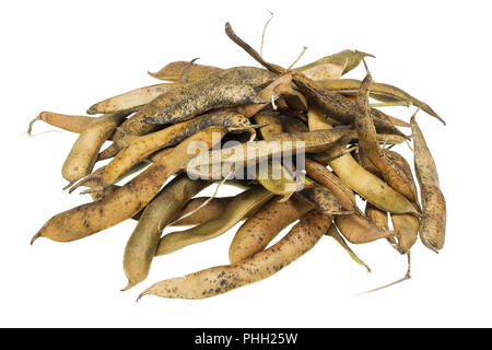 Dry pods with beans of decorative haricot heap. Isolated on white Stock ...