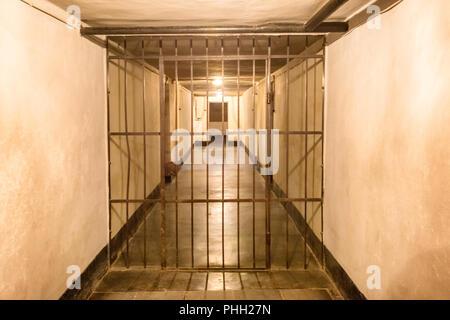 empty steel cage, prison cell. 3D rendering isolated on white Stock ...