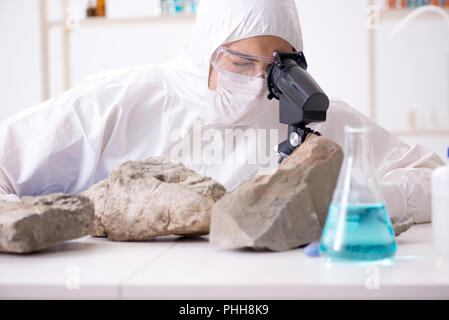 Scientist studying samples of soil in field Stock Photo - Alamy