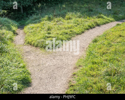 Small branching footpath - metaphor changing direction, diverging paths ...