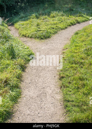 Forking footpath - metaphor for diverging ideas, divided, different ...