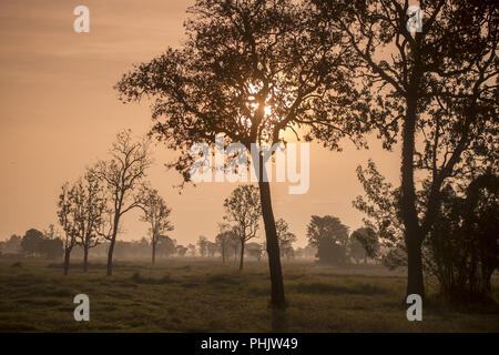 THAILAND BURIRAM LANDSCAPE FIELD Stock Photo - Alamy
