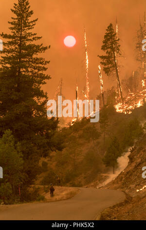 Flames and smoke turn day into night at the Taylor Creek and Klondike ...