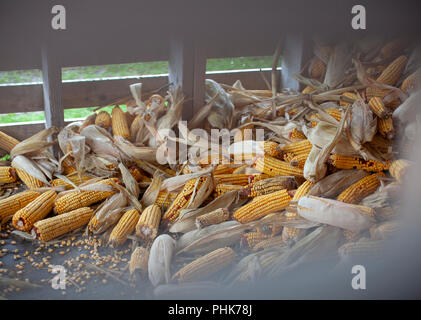corn farm in minnesota Stock Photo - Alamy