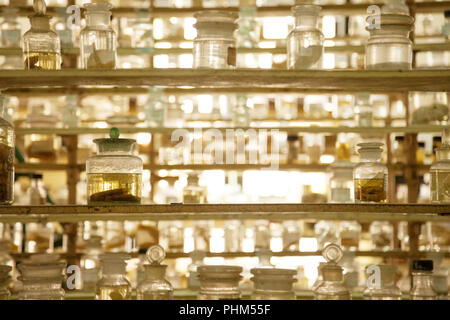 Animals in jars in formaldehyde Stock Photo: 310699144 - Alamy