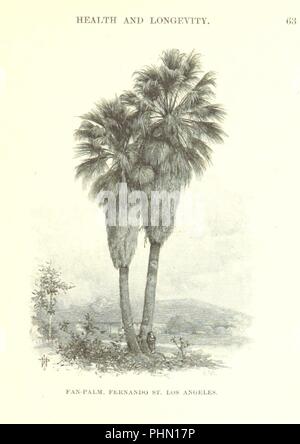 Archive image from page 7 of Description de l'Égypte, ou, Recueil Stock ...
