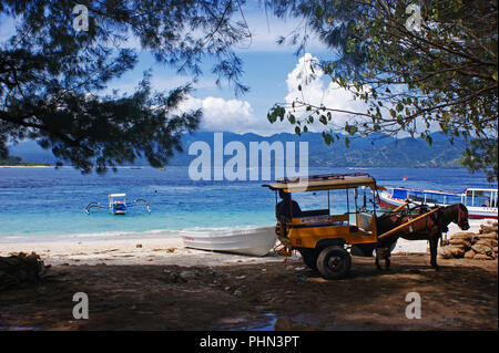 Indonesia, Lombok, Gili Trawangan, cidomo horse powered taxi Stock ...