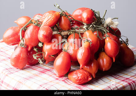 Tomato sauce with tomatoes of piennolo of Vesuvius, Naples Stock Photo ...