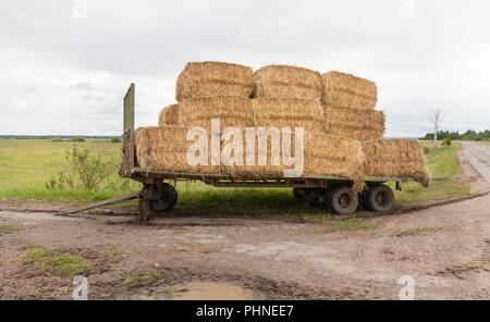 House stacked with hay from the harvest in Baltistan, Pakistan Stock ...