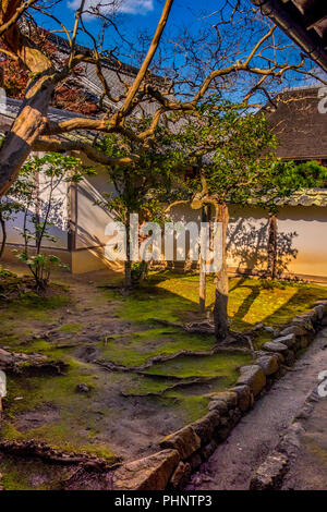 Autumn visit in Manshu-in Temple, Kyoto, Japan Stock Photo - Alamy