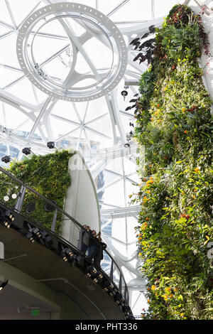 Seattle, Washington: Living wall at the Spheres on the Amazon Urban ...