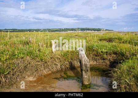 Coastal wetland saltmarsh bog at low tide in Red Wharf Bay (Traeth Coch ...