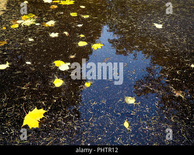 Texture of the rain black road with yellow white painted lanes and ...
