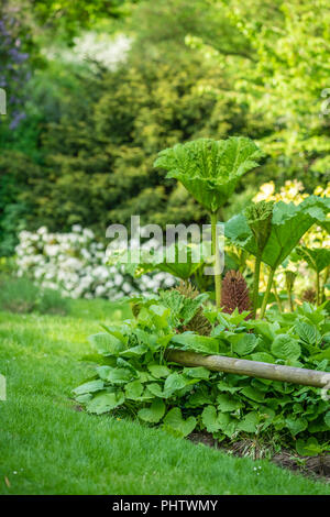 Green Plants Growing In Large Industrial Greenhouse Stock Photo - Alamy
