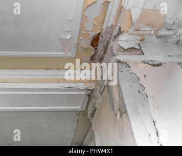 Ceiling and walls damage by humidity Stock Photo - Alamy