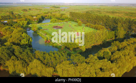 Aerial photo shows the early autumn scenery of a camping park in Rizhao ...