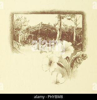 A Bunch of Primroses. [A poem.] ... Illustrated, etc Stock Photo - Alamy