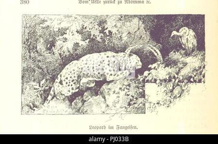 Image from page 416 of 'Reisen durch Südamerika . Mit . Abbildungen ...