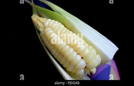 Choclo, or Peruvian large kernel corn, as seen at Lima's annual ...