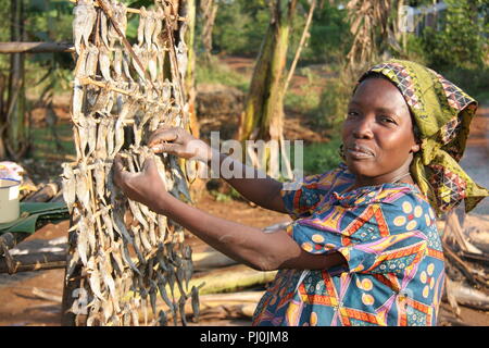 A woman arranges a display of sun dried Nkejje fish to sell in Masaka ...