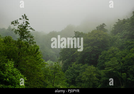 Great Caucasus mountain range foggy landscape Stock Photo - Alamy