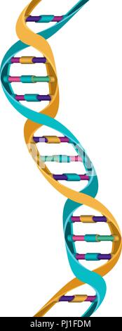 vertical dna chain science icon Stock Vector Image & Art - Alamy