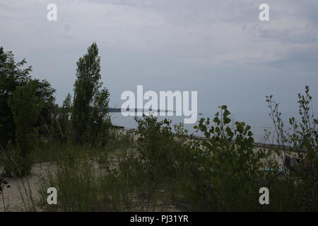 Grass and dunes at Ipperwash Beach, Ontario Stock Photo - Alamy