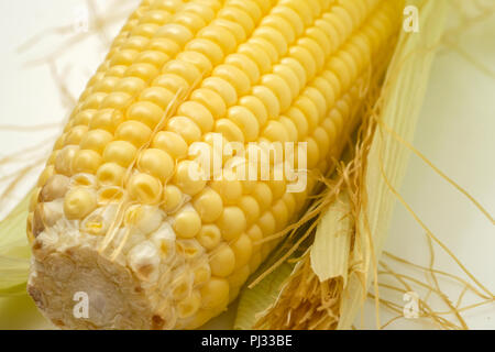 Raw corn stalks Stock Photo - Alamy