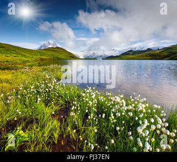 Lake Bachsee Switzerland Stock Photo - Alamy