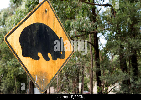 wombats crossing warning road sign Stock Photo - Alamy