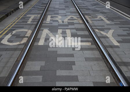 Trams only road sign on white background Stock Photo - Alamy